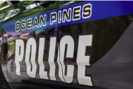 This Week in The Pines: August 21