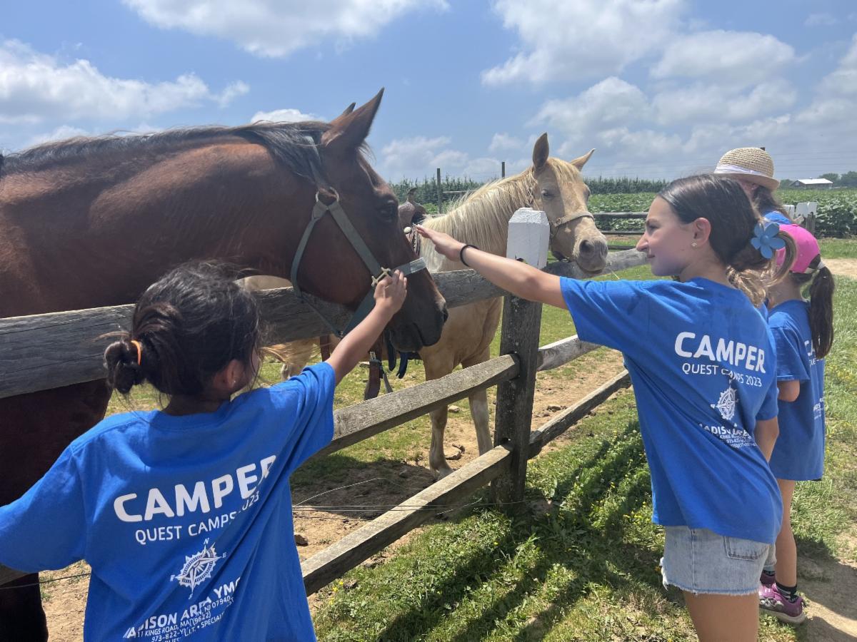 Quest Camps Weekly Newsletter - July 16, 2023