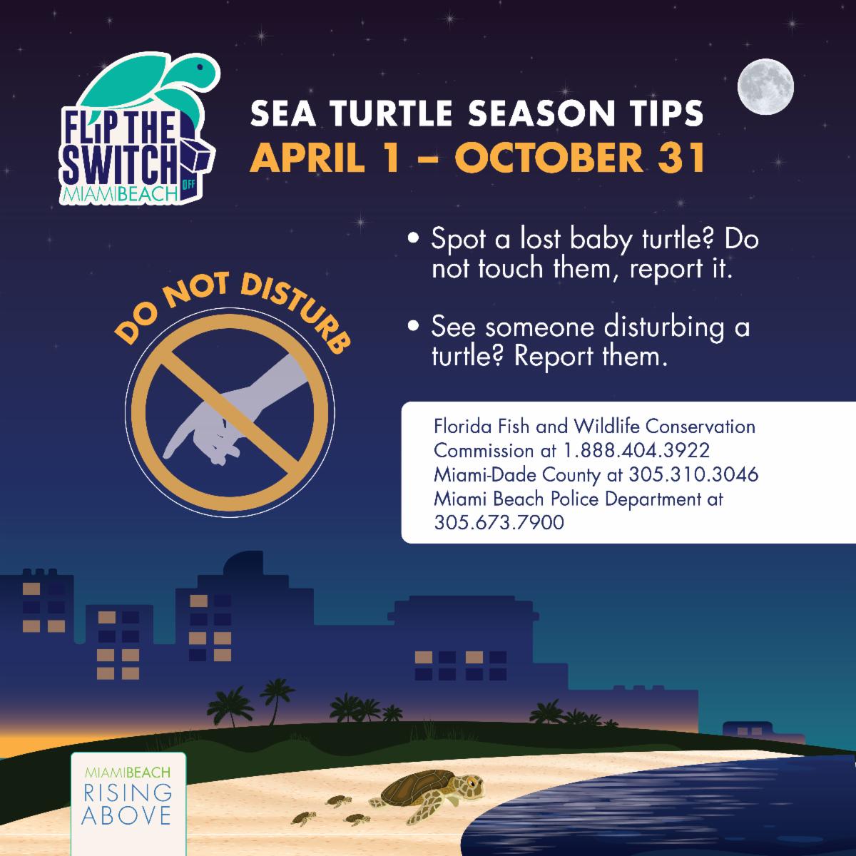 Flip the Switch: Protect the Sea Turtles