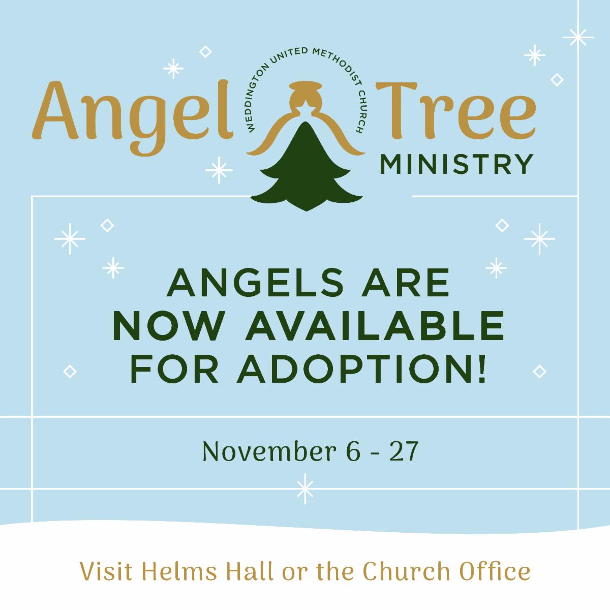 The Ark Children's Ministry Weekly Top Five