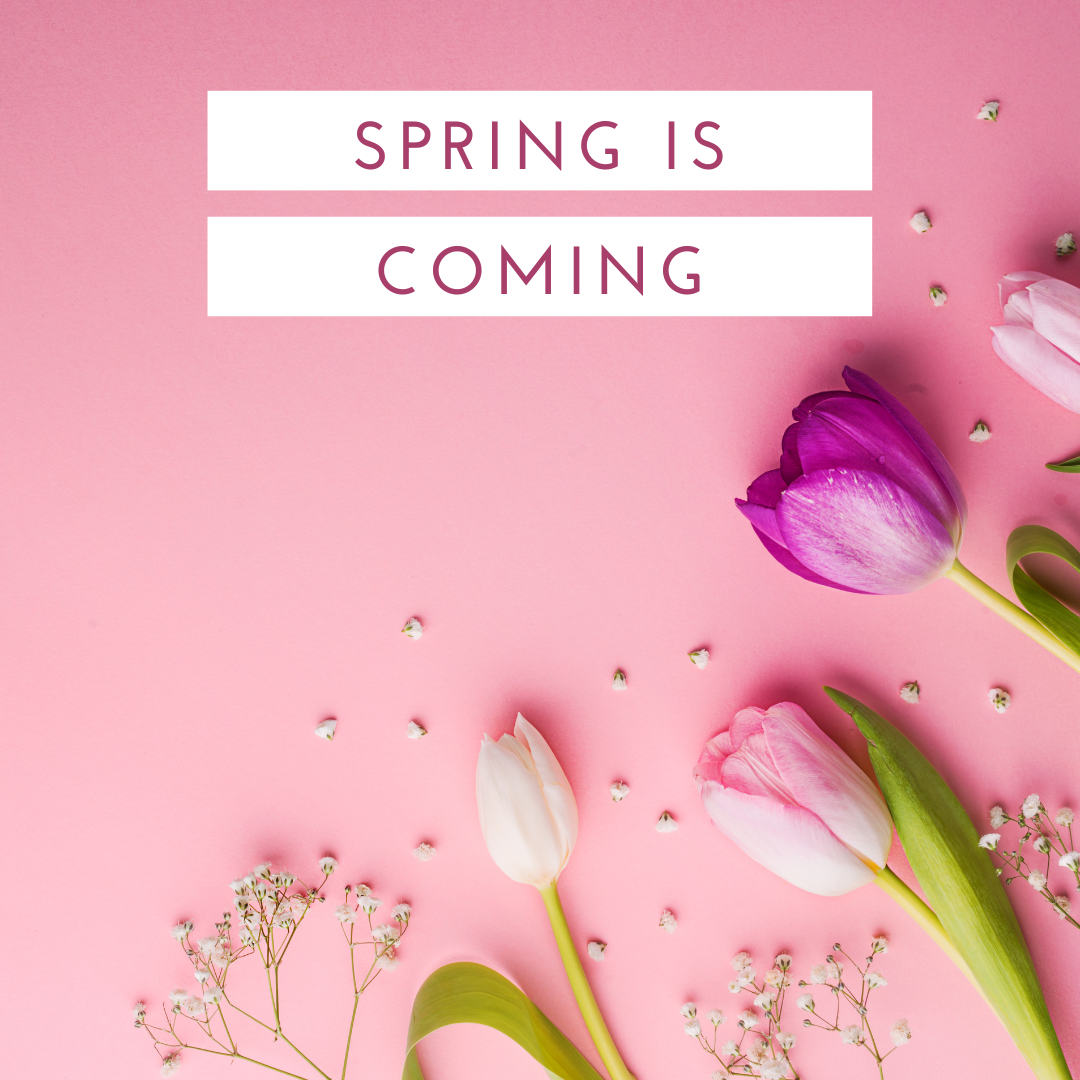 Spring Offerings from Ballast🌷