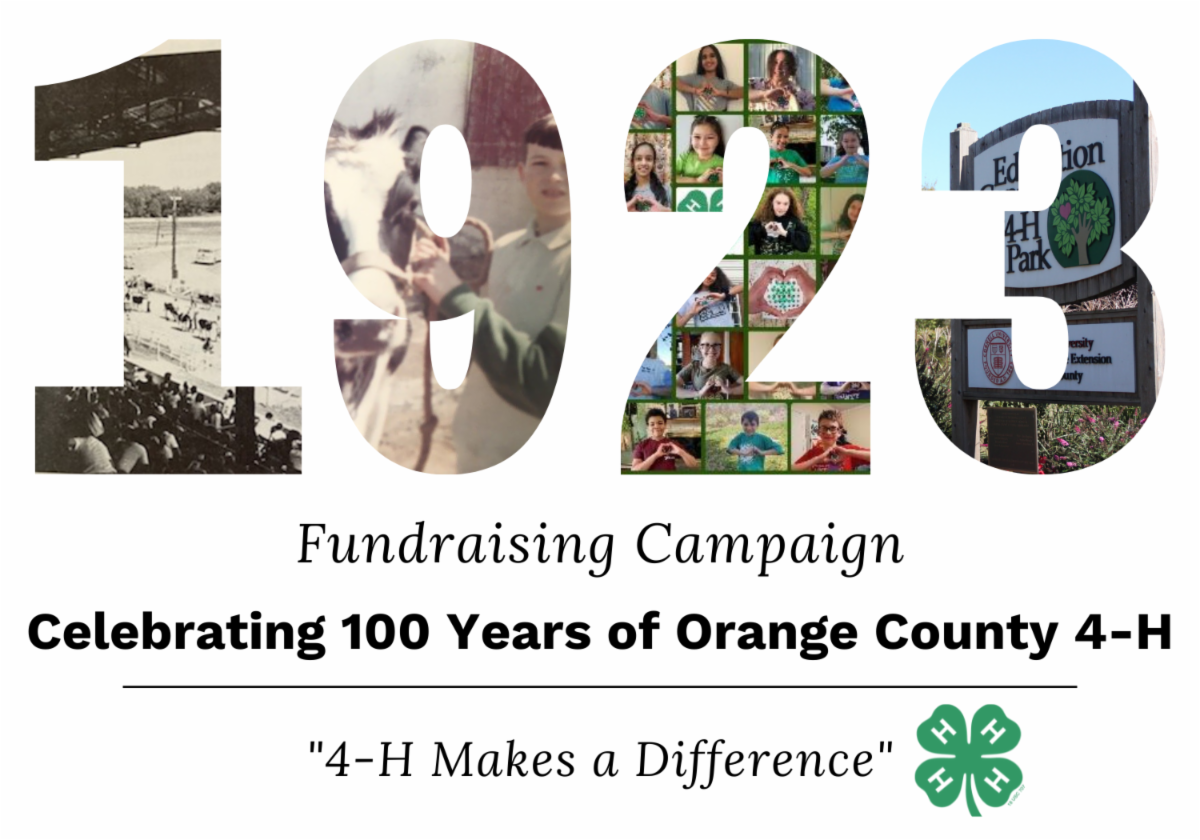 4-H Monthly Newsletter - December 2022