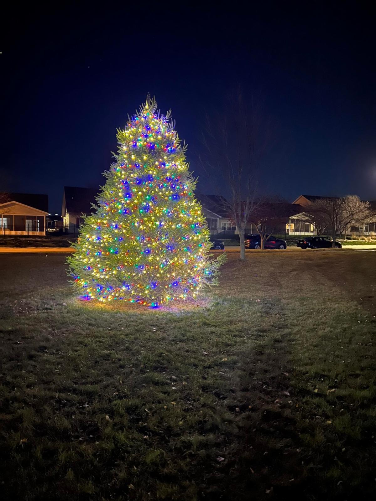 Village of Forsyth--August Newsletter