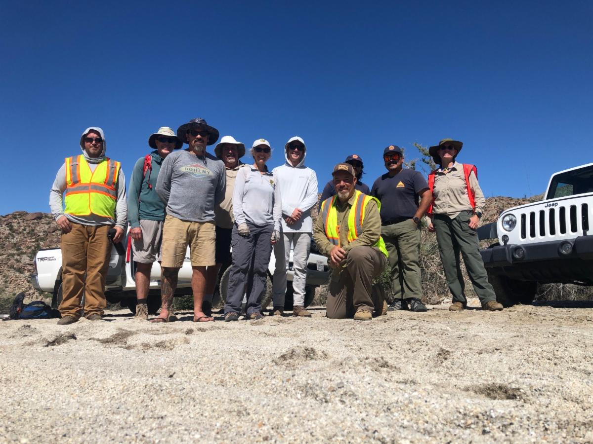 Fall Flower Bloom, New Big Horn Sheep Guzzlers Installed, Land Updates ...