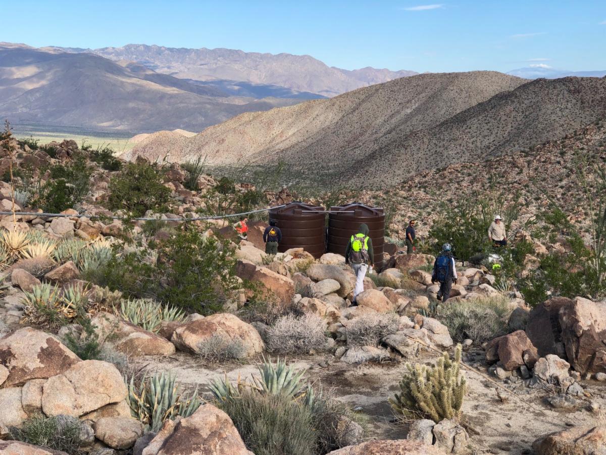 Fall Flower Bloom, New Big Horn Sheep Guzzlers Installed, Land Updates ...