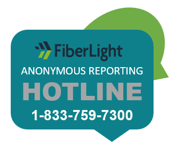 FiberLight Insights vol#22