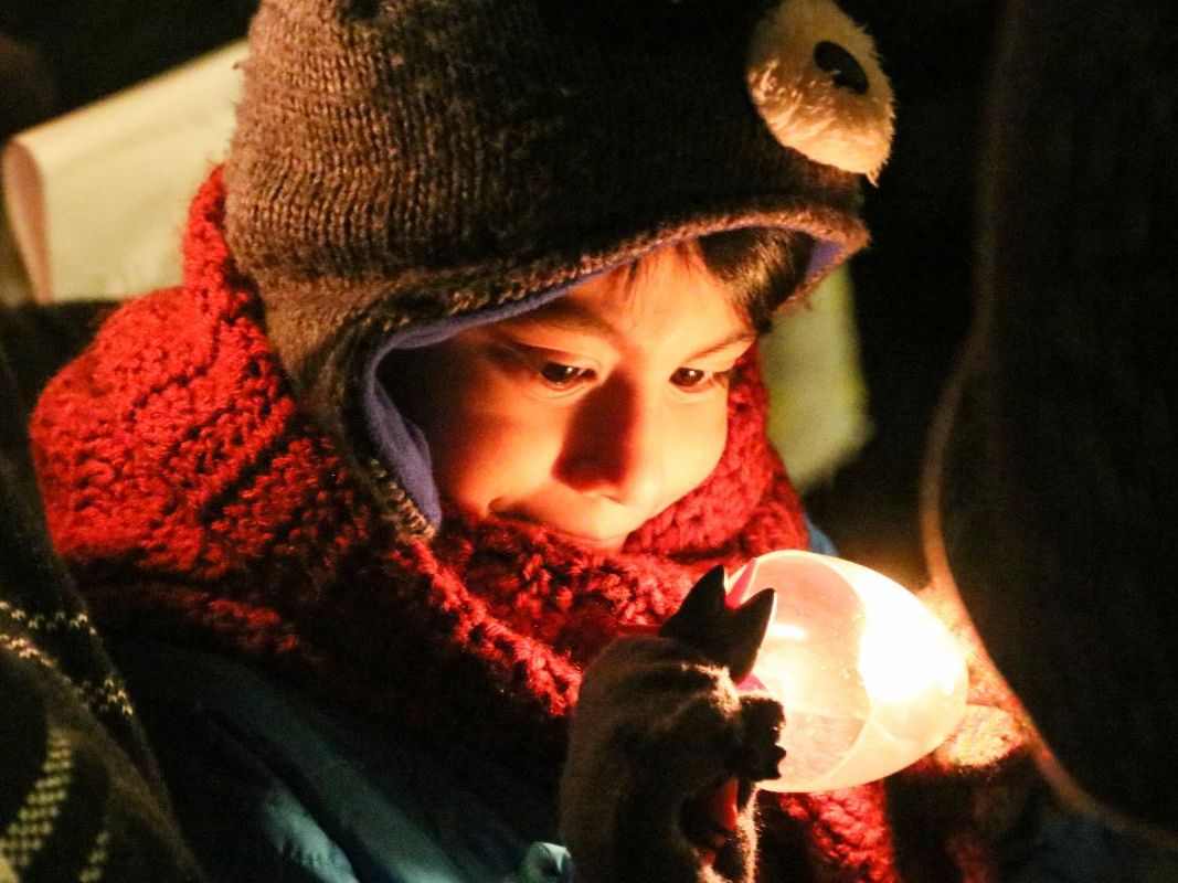 Trinity Weekly Email Update