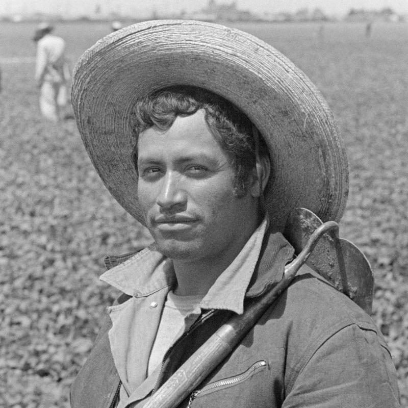 Celebrating the Braceros and Farm Workers at Napa Valley Museum Yountville