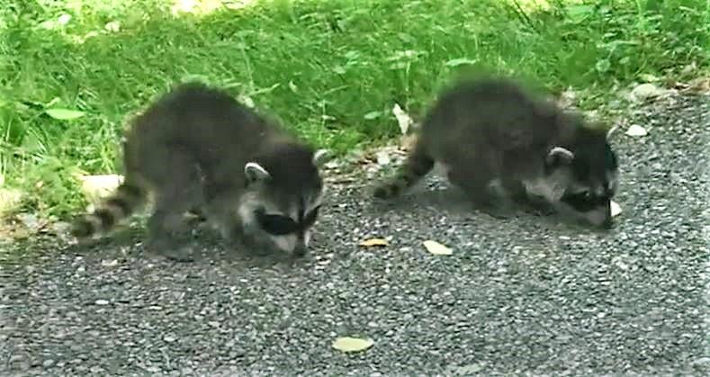 Trail Mail, July 2023