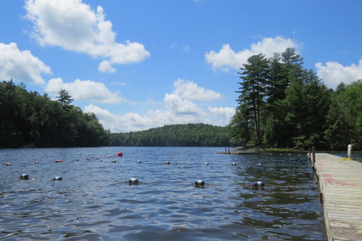 The July Blue Heron - News from Camp Little Notch