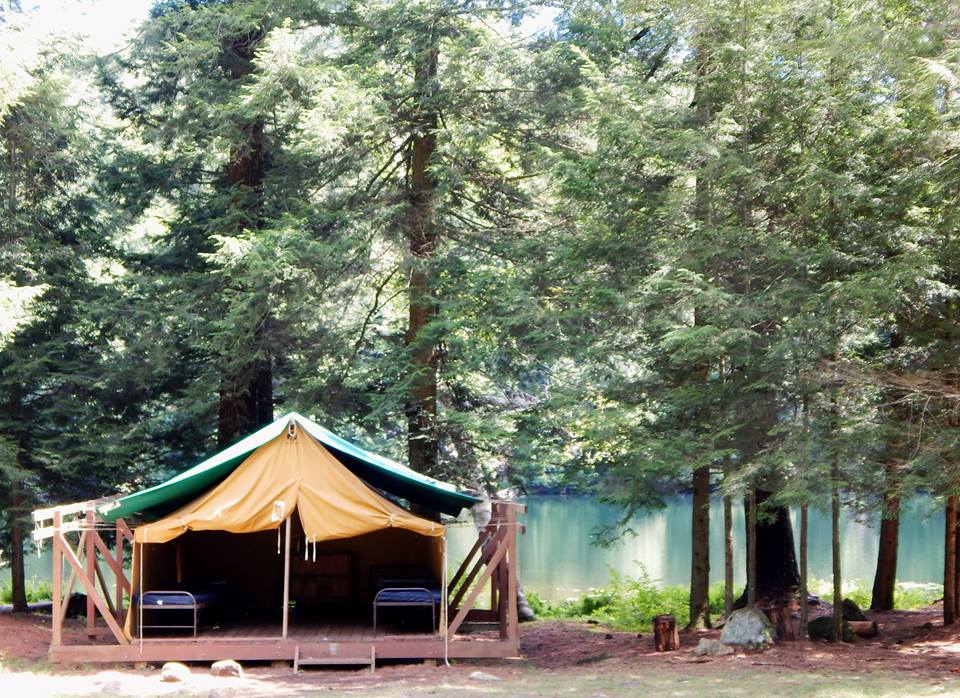 The May Blue Heron - News from Camp Little Notch