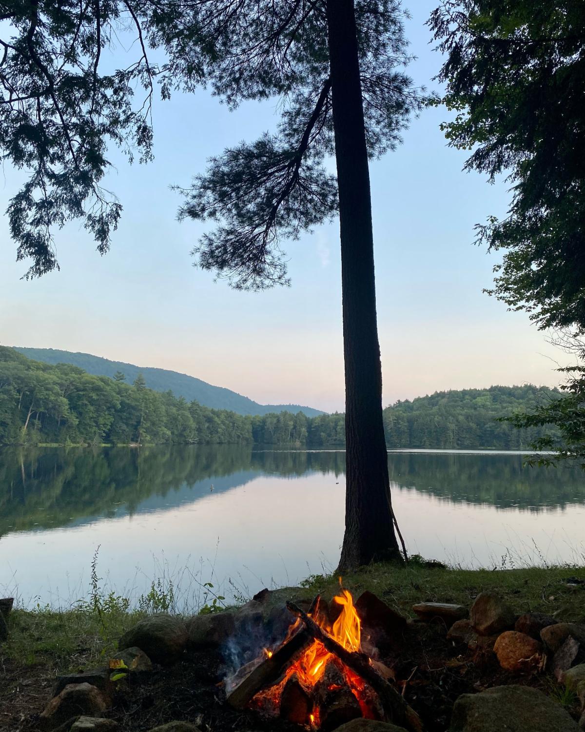 The December Blue Heron - News from Camp Little Notch