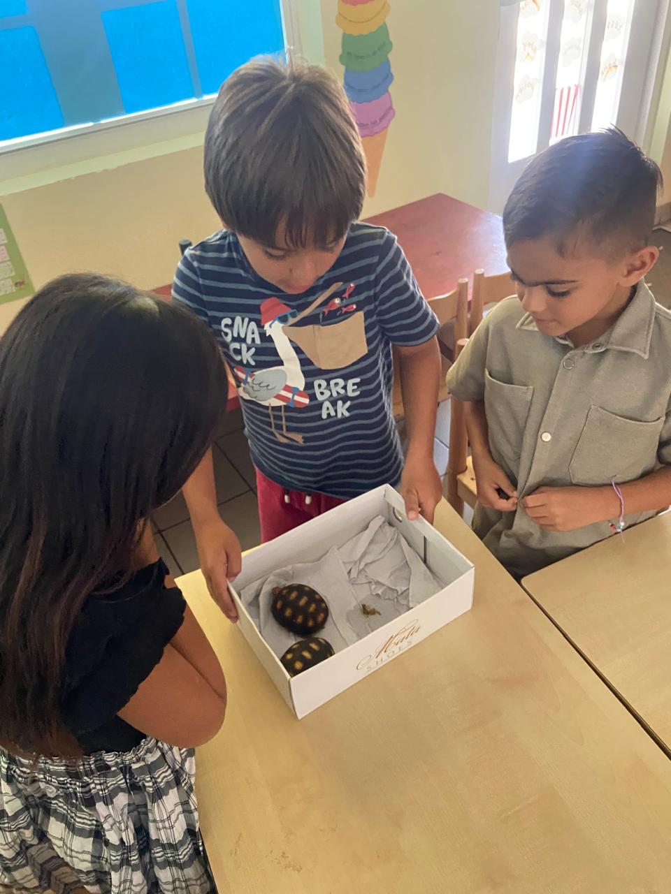 Nieuwsbrief 17 Prikichi en Basisschool 2025-2026