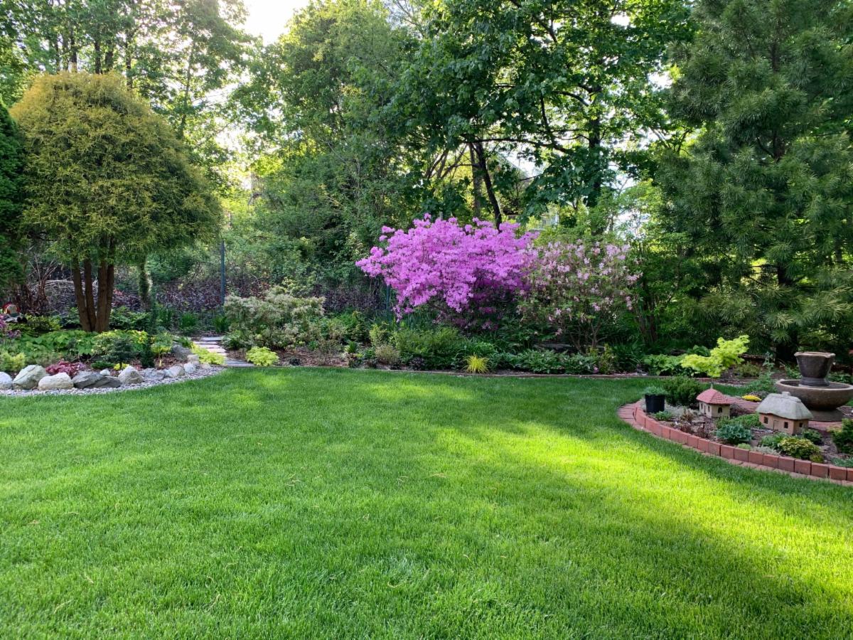 Wishing you a Pearl's Premium emerald green lawn