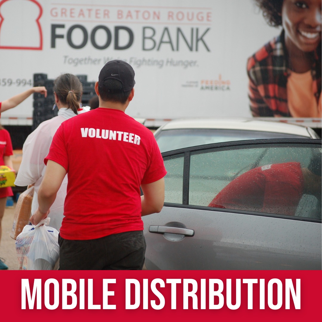 Food Distribution Volunteers