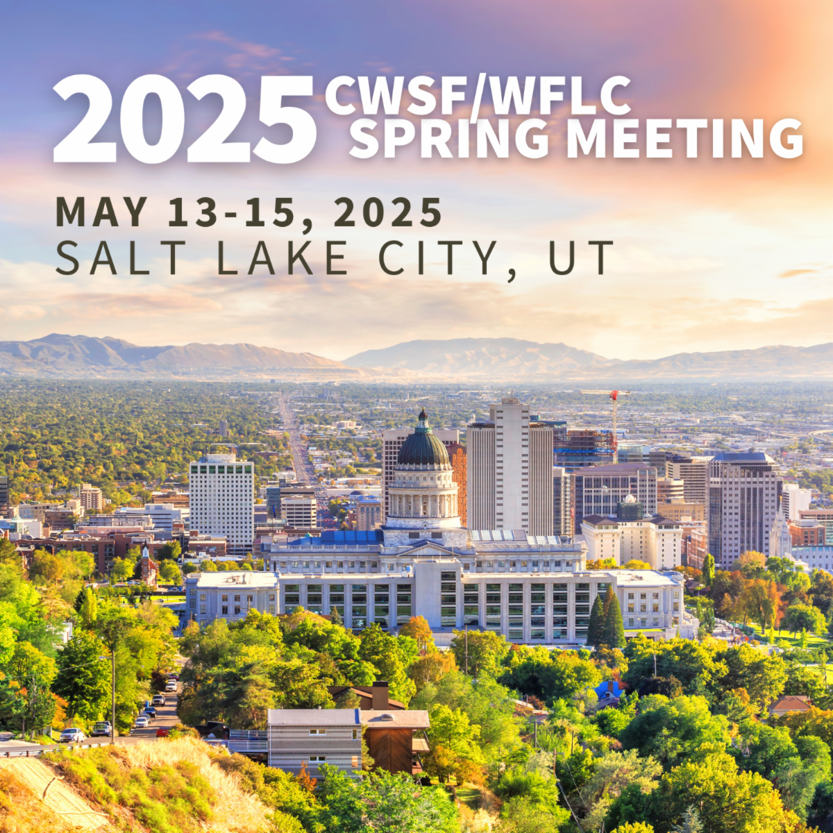 April 2025 Newsletter