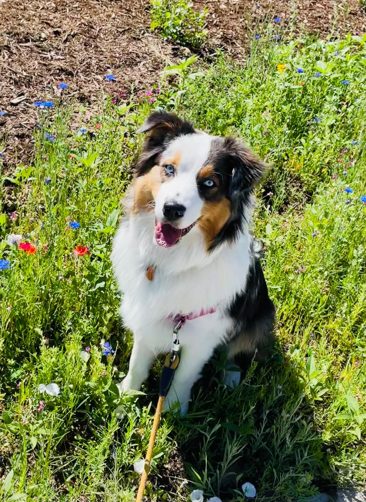 Newsletter from Mr. Zaccaria