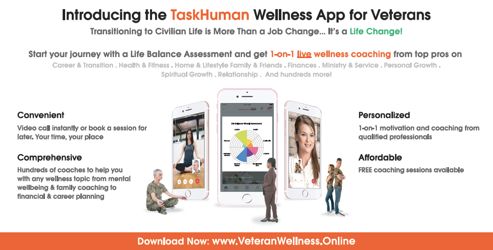 MIL2CIV InTransition Newsletter