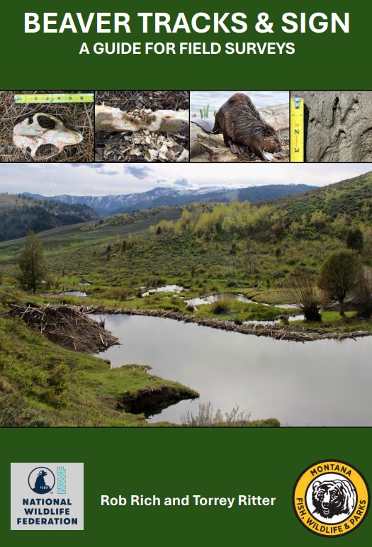 Montana Beaver Working Group - Nov/Dec 2025 Newsletter