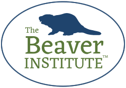 Montana Beaver Working Group - May/June 2025 Newsletter