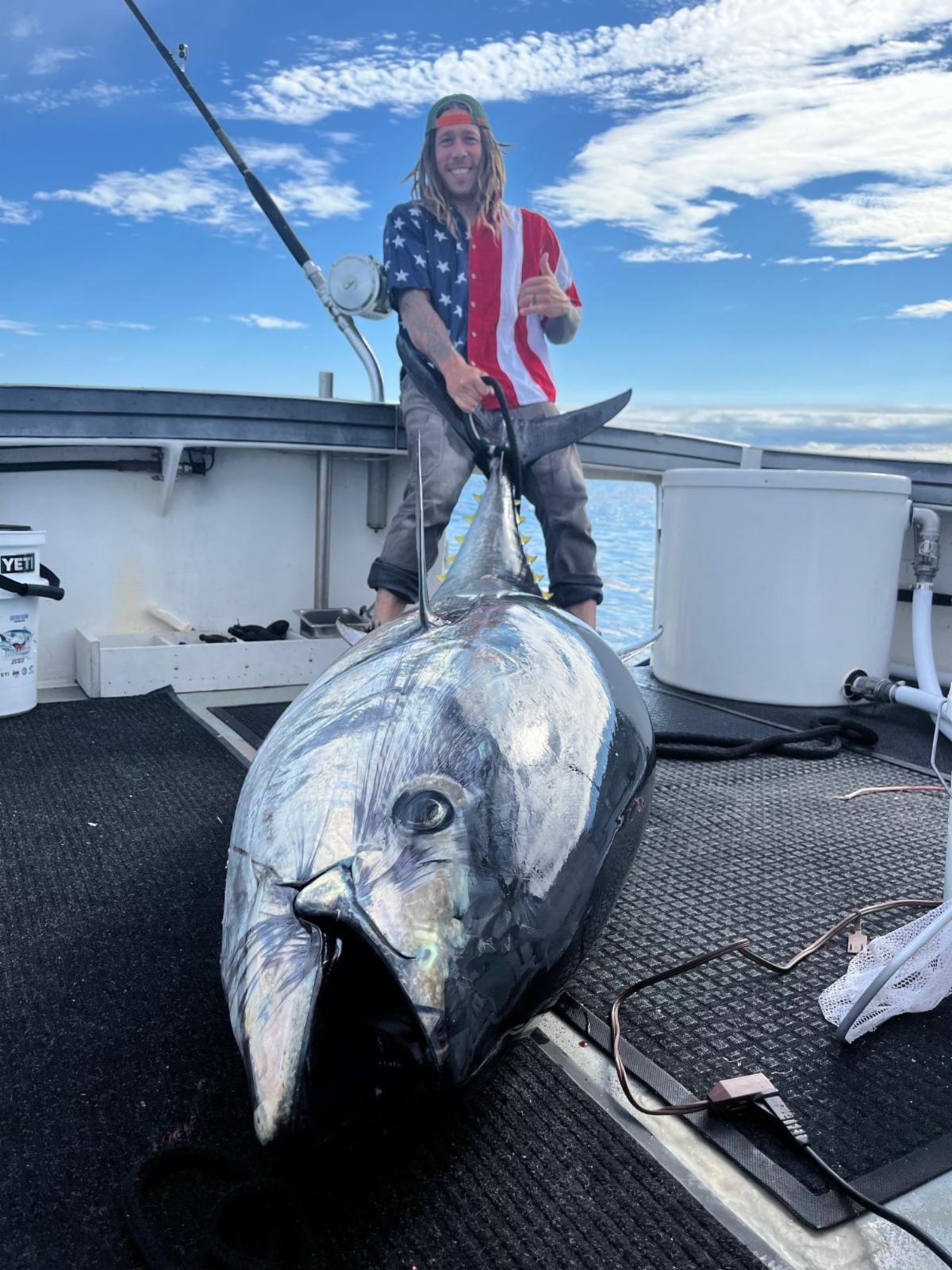 MEMBER'S ONLY - Strategy Call Dial In - Noon Thursday - Introduction ...