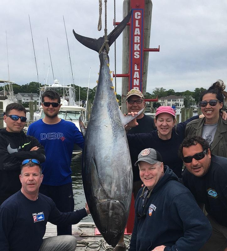 Jersey Shore Fishing: Great tuna -- & stripers - nj.com