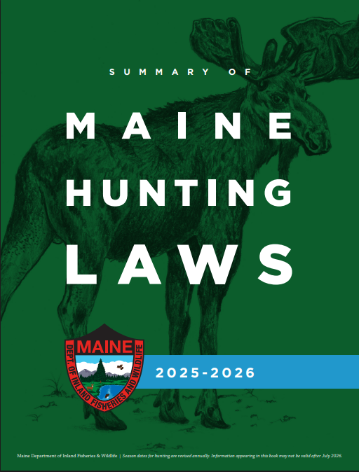 New Laws Going into Effect