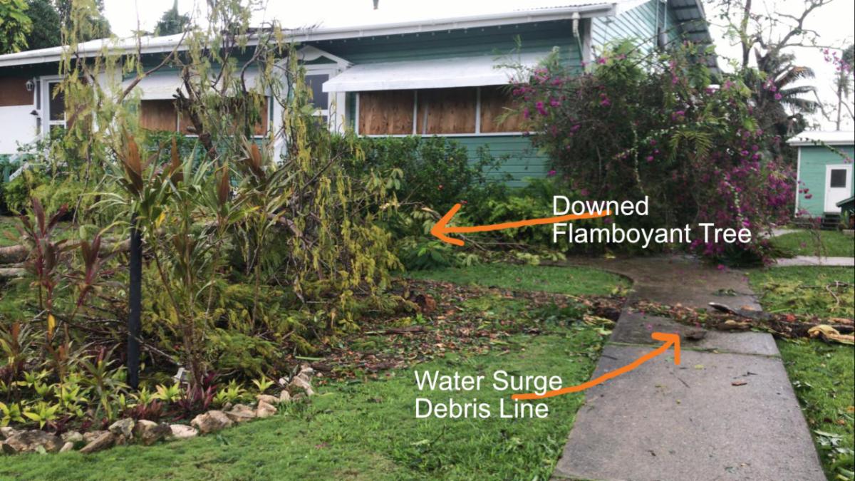 Belize River Lodge is a Survivor!