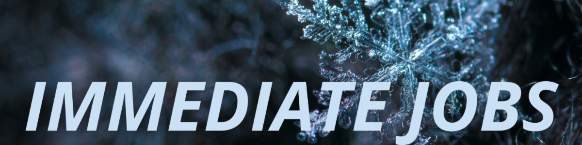 ️ Career Momentum Does Not Freeze