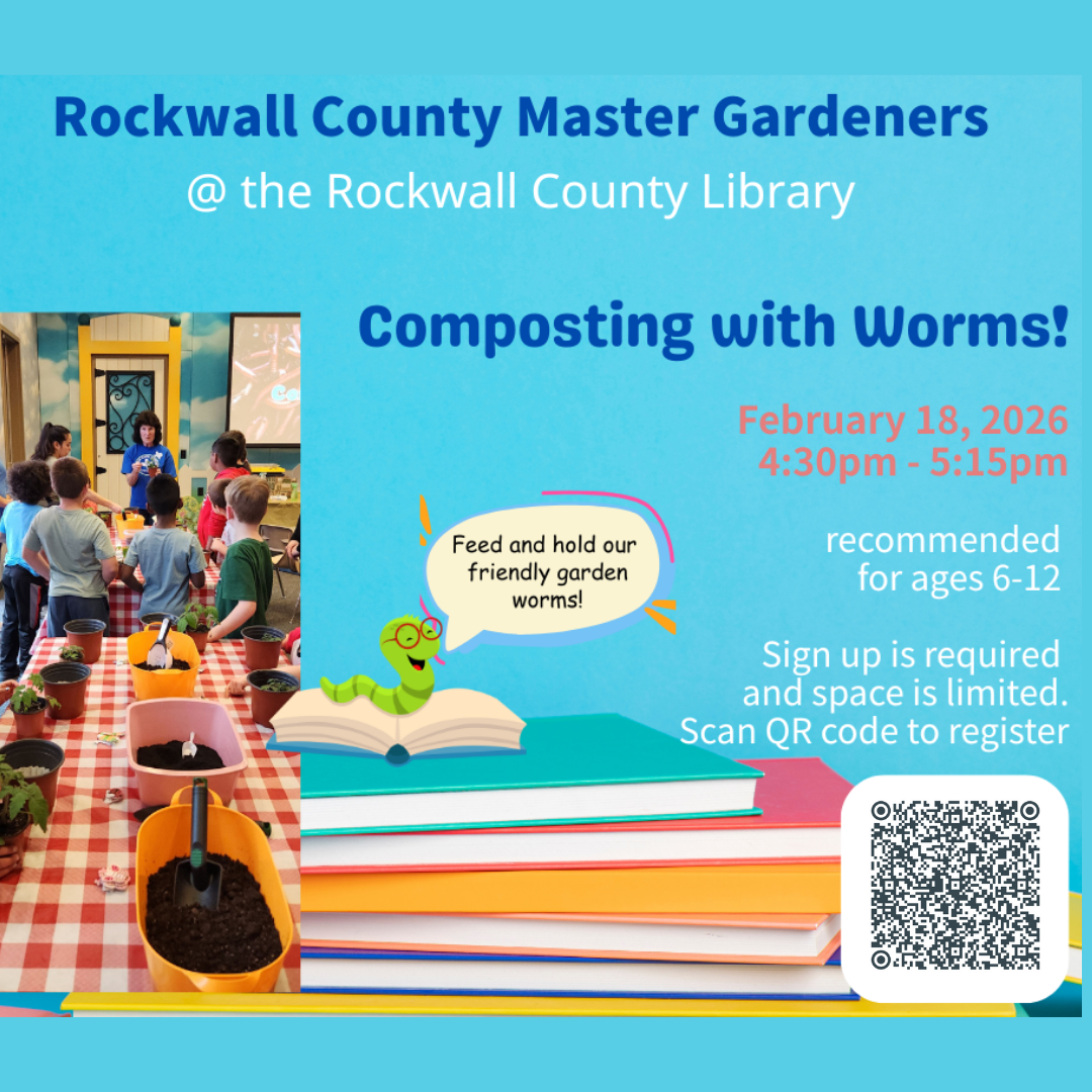 February 2026 at Rockwall County Library