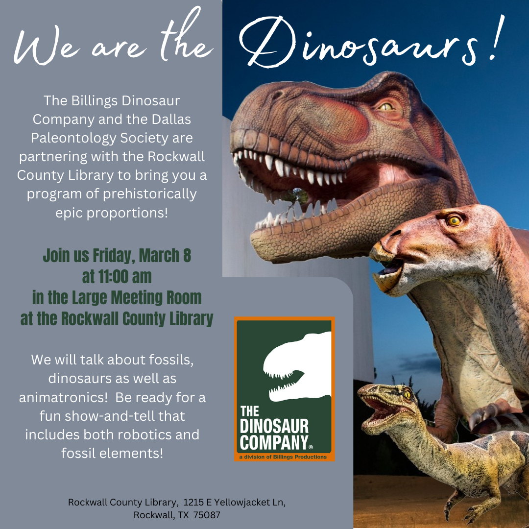 The latest news for you