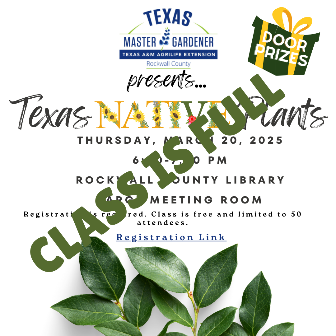 March 2025 at Rockwall County Library