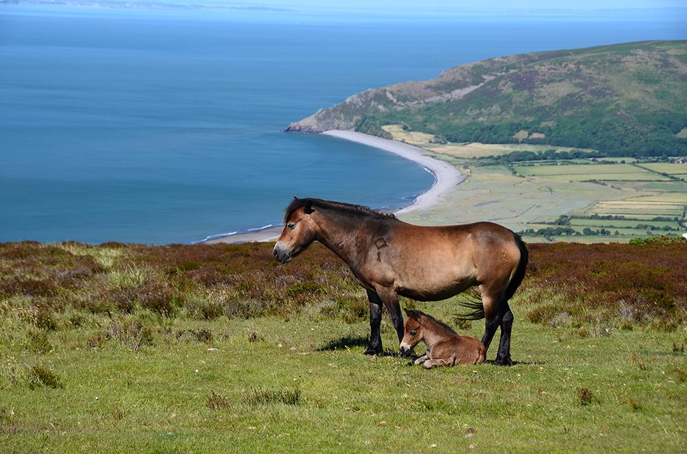 ENPA adopts ambitious National Park Management Plan