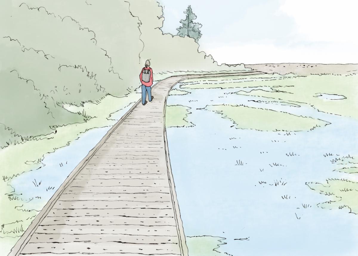 Exmoor ParkLife - June 2025