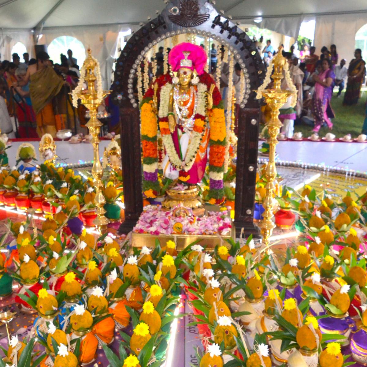 Dosha Nivarana Rasi Mandala Puja - Participation opportunities