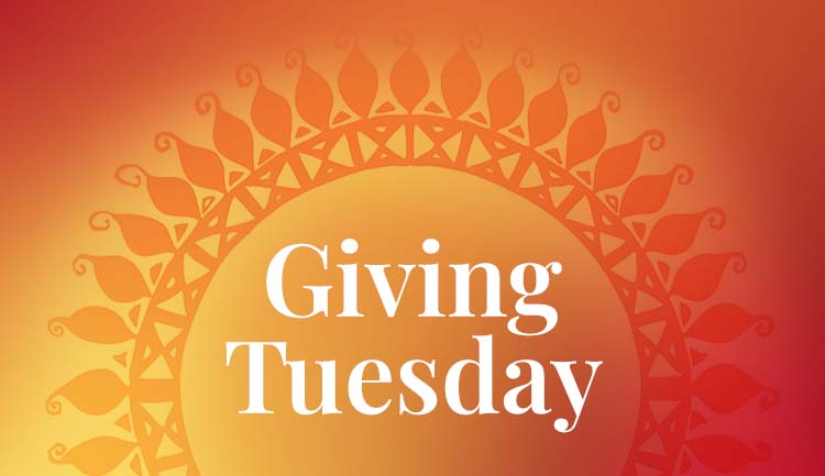 We Need Your Support on November 29! Giving Tuesday 2022