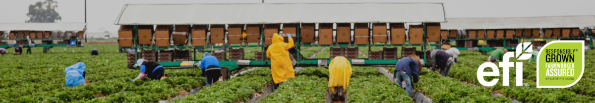 , farmworkers are always essential, and it's time to recognize their ...