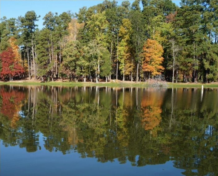 See What's Happening in High Point This Hallo-Week!