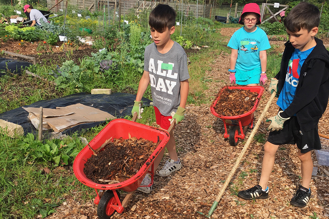 WonderCamp Storybook Science #2 for Grades K-1 Begins Monday, July 10