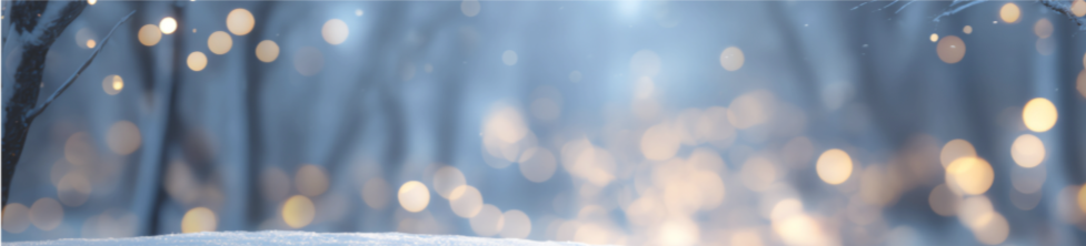 December 2025 CBV villageCONNECTIONS