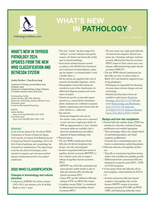 What’s New in Thyroid Pathology 2024: Updates From the New WHO ...