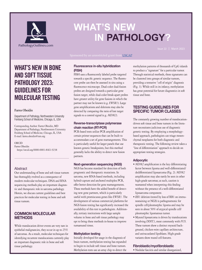 What's New in Bone and Soft Tissue Pathology 2023: Guidelines for ...