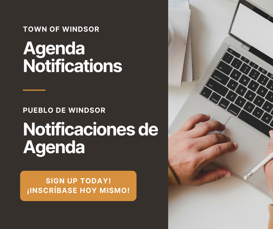 Windsor Insider Edition 48