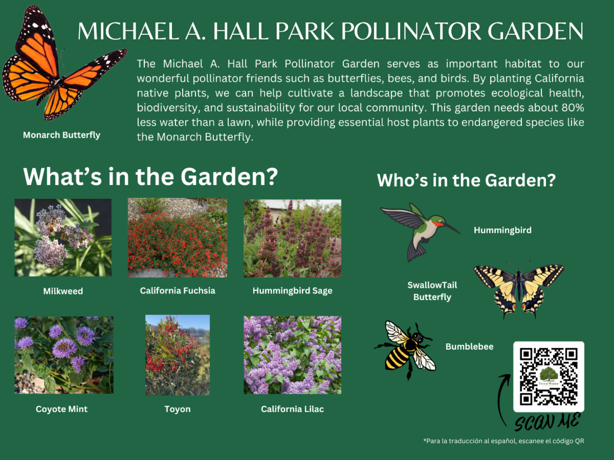 Windsor Insider Edition 87