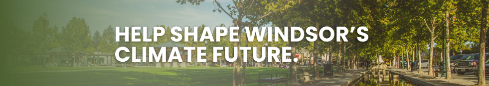 Town of Windsor Insider Edition 96