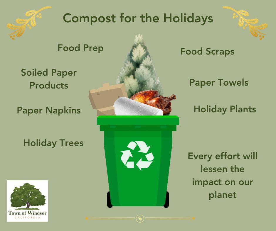 Windsor Insider Edition 81