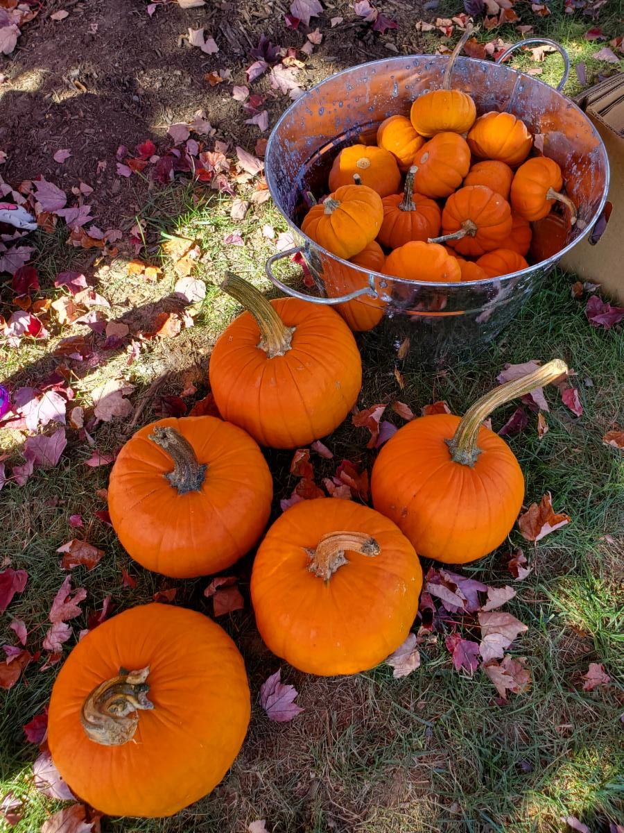 Eric Westbrook Workshop, Nov 2023 News