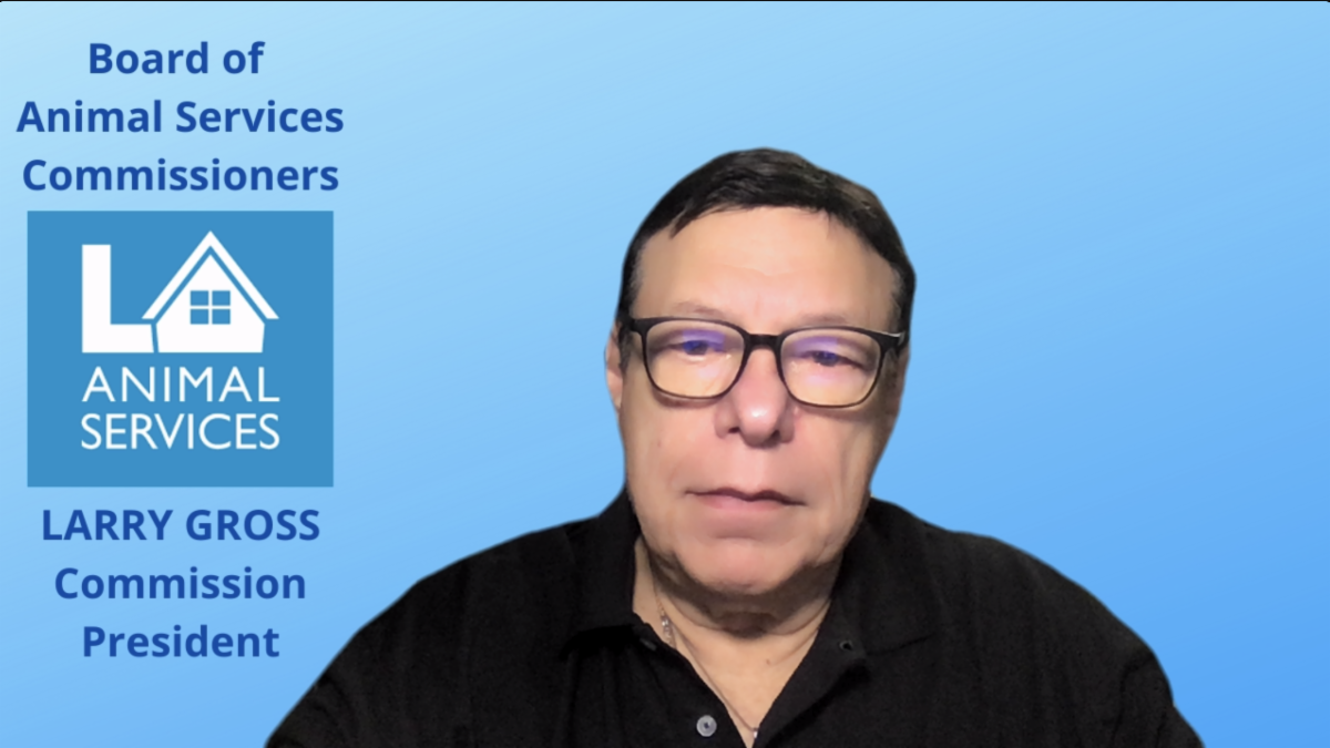 Can Rents Be Raised?