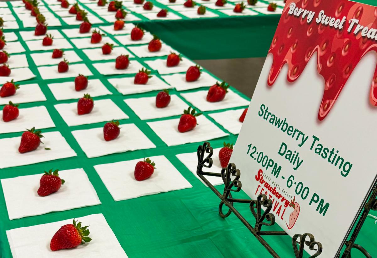 For Immediate Release - Press Release 04.29.2024