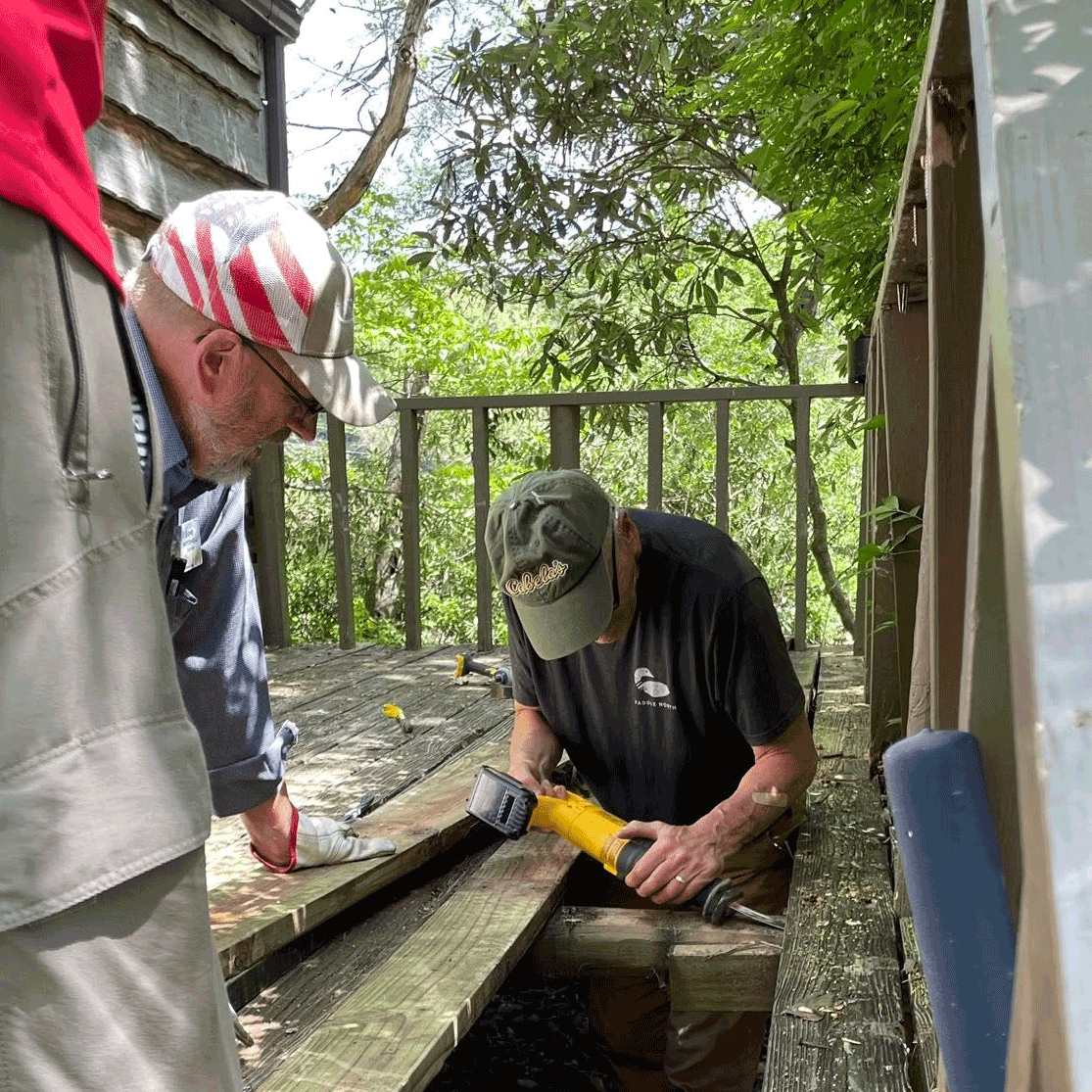 June 2025 SOWER Newsletter for